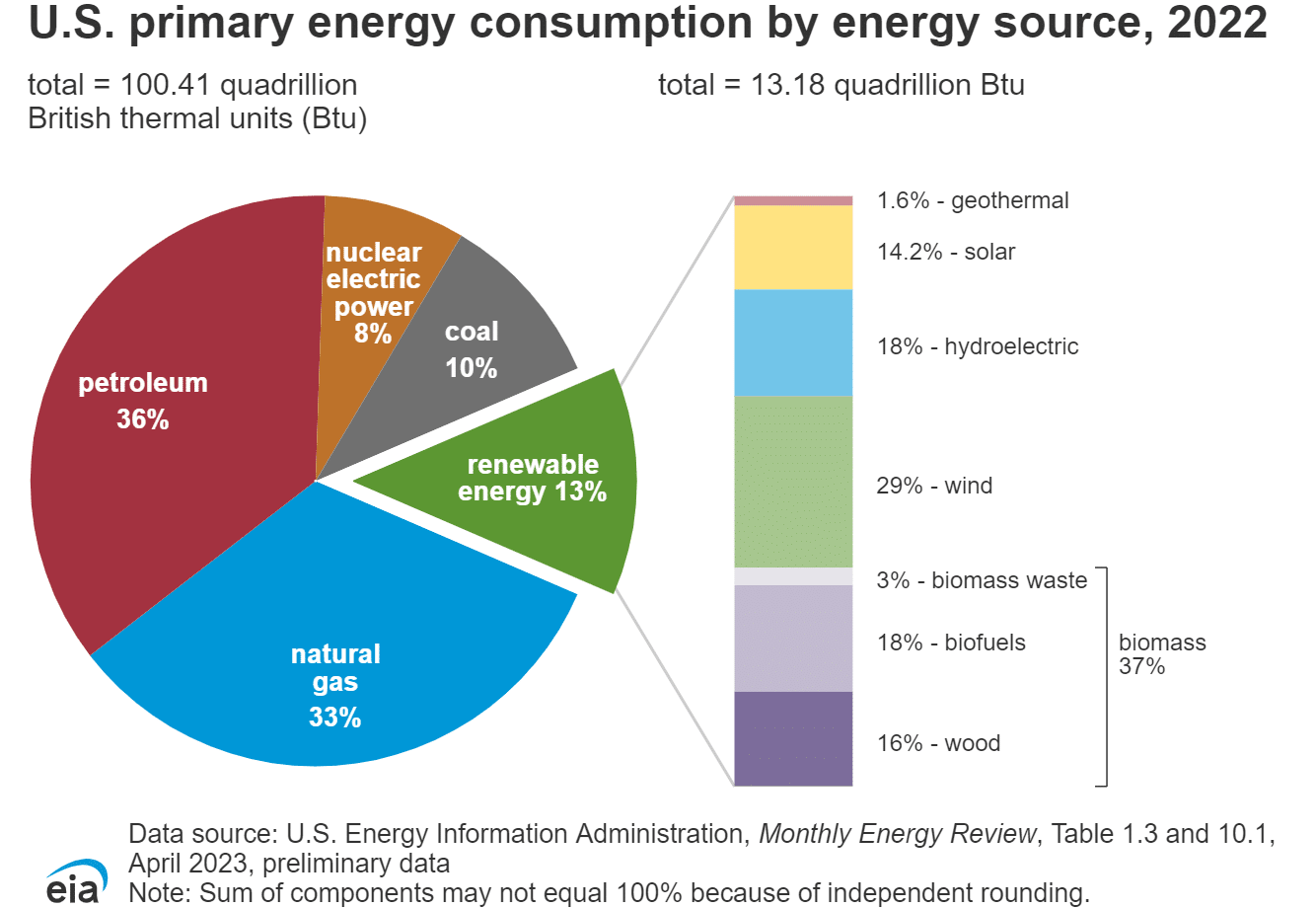 Top Renewable Energy Companies in the USA Leading the Green Revolution