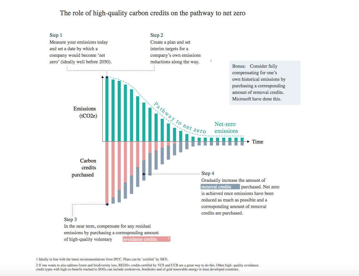 What Are Carbon Credits and How Do They Work?